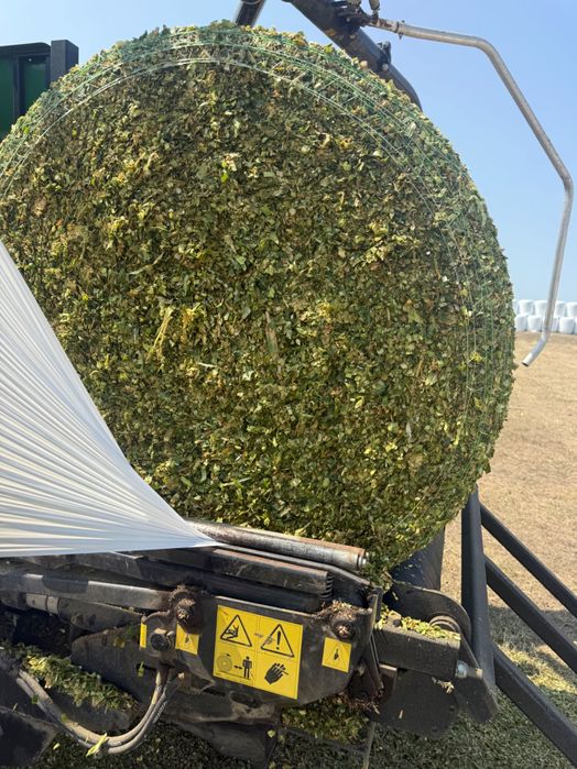 Baloti siloz porumb Sintea Mica • OLX.ro