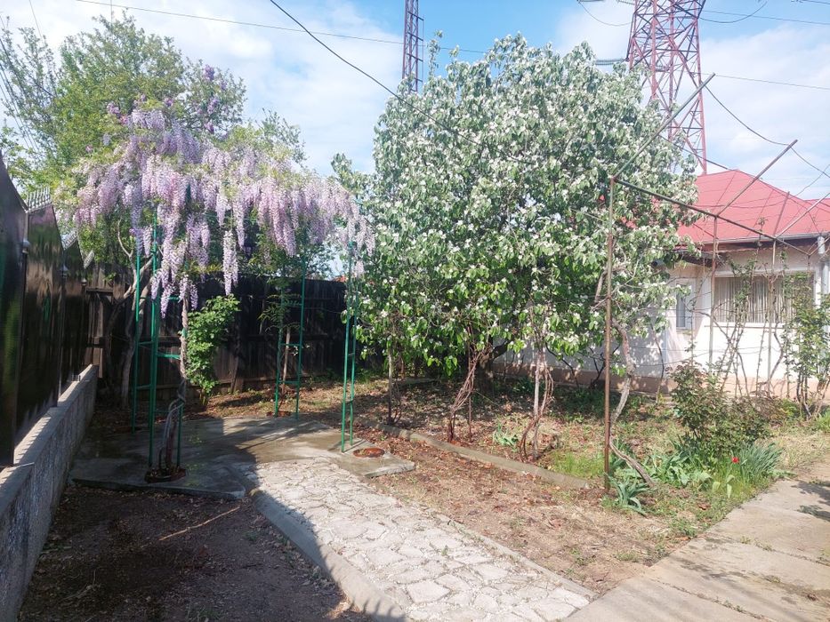 Vând teren și casă bătrănească demolabilă!a Balotesti • OLX.ro