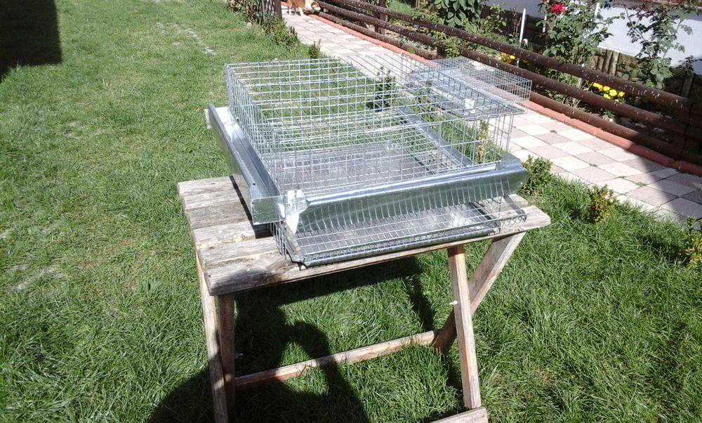 Cusca pentru 25 si 50 prepelite Brasov • OLX.ro