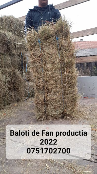 Baloti de Fân de gradina transport la domiciliu Tecuci • OLX.ro
