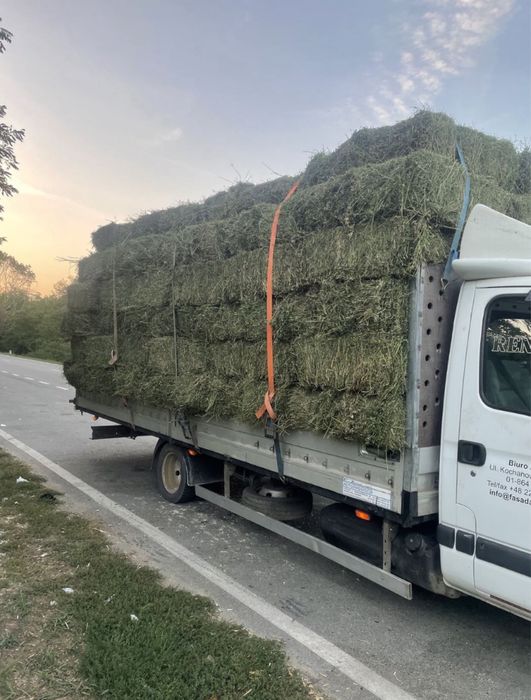 Baloti Lucerna de calitate Saucesti • OLX.ro