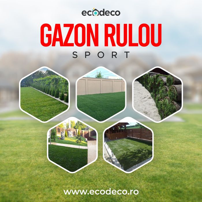 Plante ornamentale, spartura marmura, amenajare gradini, gazon rulou ...