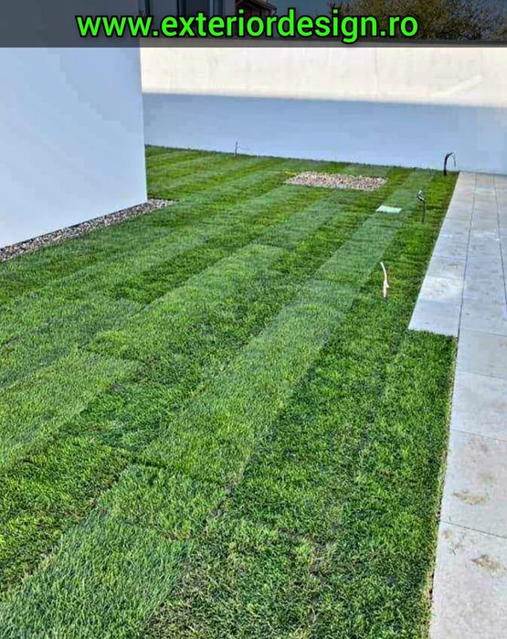 Gazon rulou, sport oferim transport montaj, Spati verzi Pitesti • OLX.ro