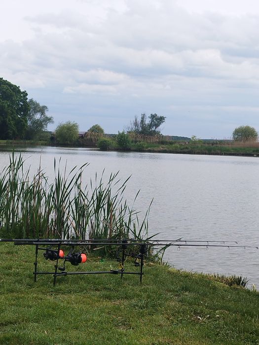 Lansete. mulinete .crap .feeder Terebesti • OLX.ro