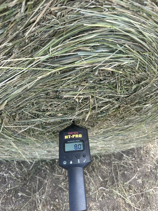 Baloti lucerna 2025 Brabova • OLX.ro