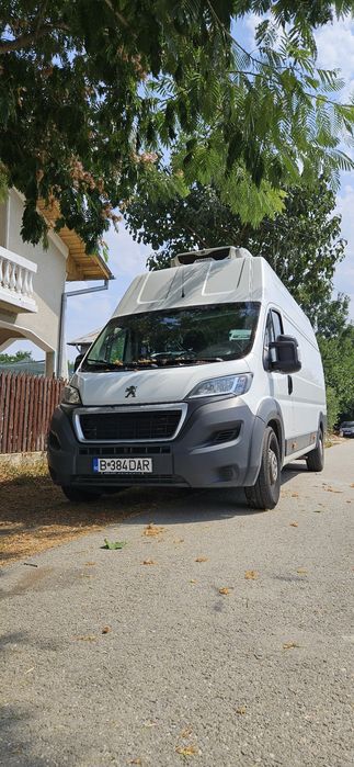 Duba frigorifica Ilfov Popesti-Leordeni • OLX.ro