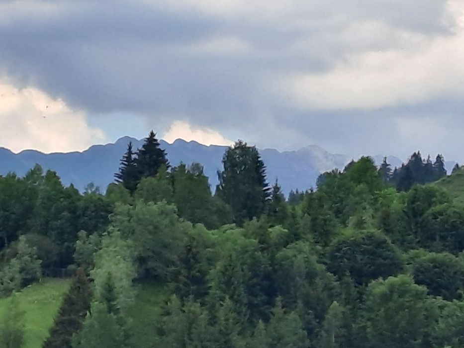 Teren la munte Ciocanu-Pestera-Bran Podu Dambovitei • OLX.ro