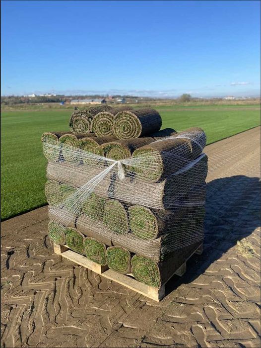 Rulouri de gazon natural, gazon rulou- Ferma de productie Luna Targu ...