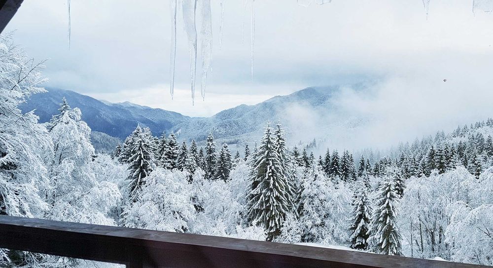 Apartament 2 camere vedere la munte in Cioplea-Predeal Predeal • OLX.ro