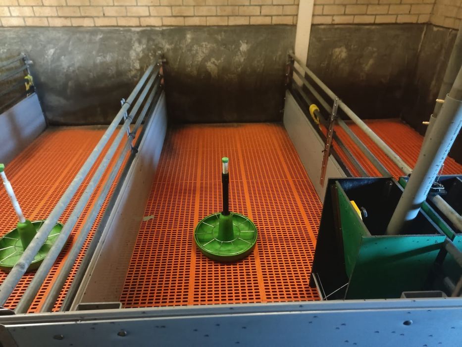 Podea Plastic, Gratar animale, Porci-purcei,Recent adusa din Germania ...