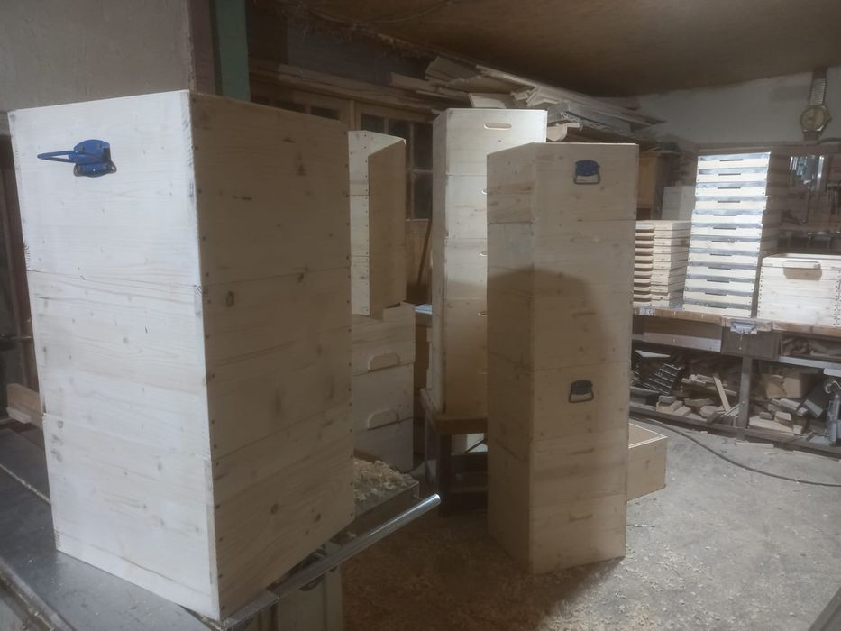 Stupi albine, stupi verticali, stupi orizontali, roinite! Botosani • OLX.ro