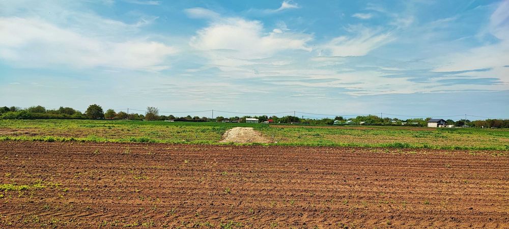 A. Vand teren intravilan com. Dascalu Ilfov, sat Creata, parcele 350mp ...