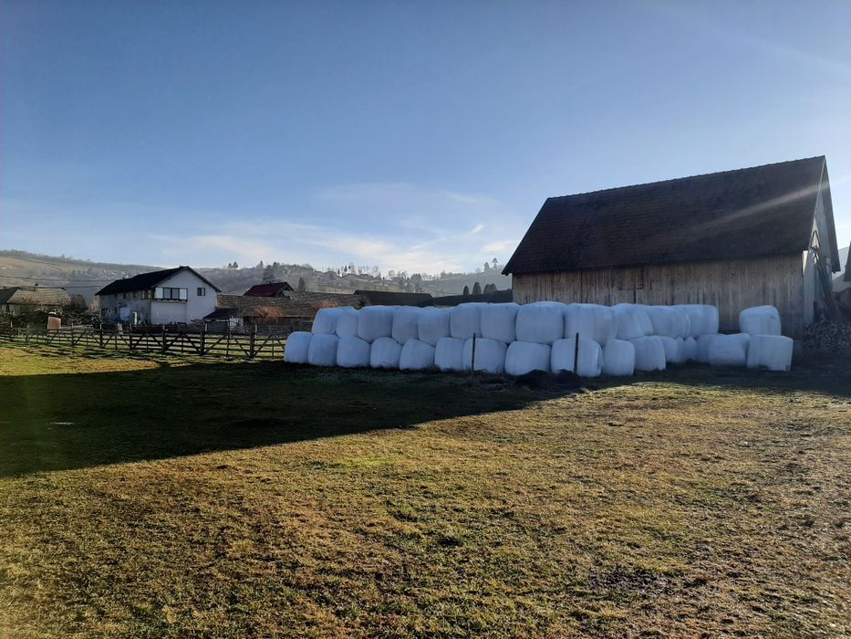 Fan baloti rotunzi Barcani • OLX.ro