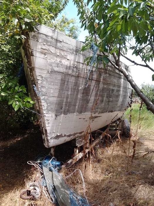 Barca velier stejar Constanta • OLX.ro