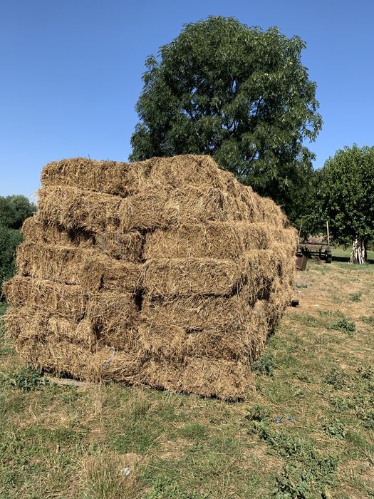 Vand Baloti rotunzi si pătrați Macedónia • OLX.ro