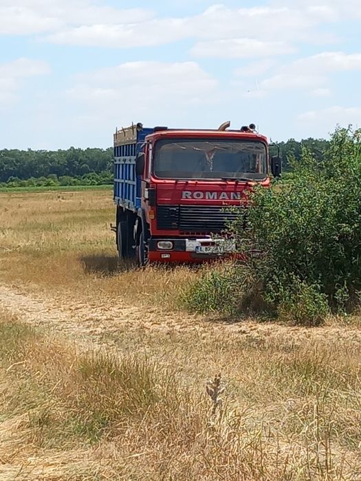 Raba de vanzare ROMAN Barcanesti • OLX.ro
