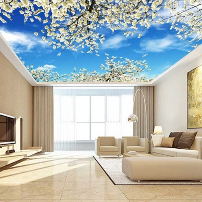 Tavane Extensibile Tavan Fals Tavan 3D Brasov Brasov • OLX.ro