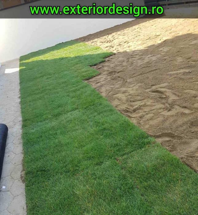 Gazon rulou, sport oferim transport montaj, Spati verzi Pitesti • OLX.ro