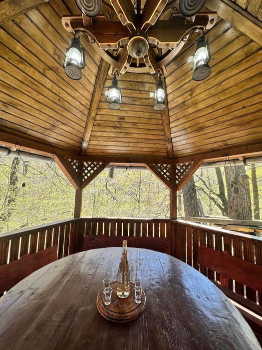 Închiriem Vila in Lepsa Vrancea Lepsa • OLX.ro