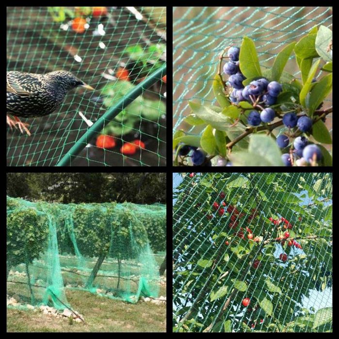 PLASA PROTECTIE = ANTI PASARI-țesută sau extrudat, verde/neagră Brasov ...