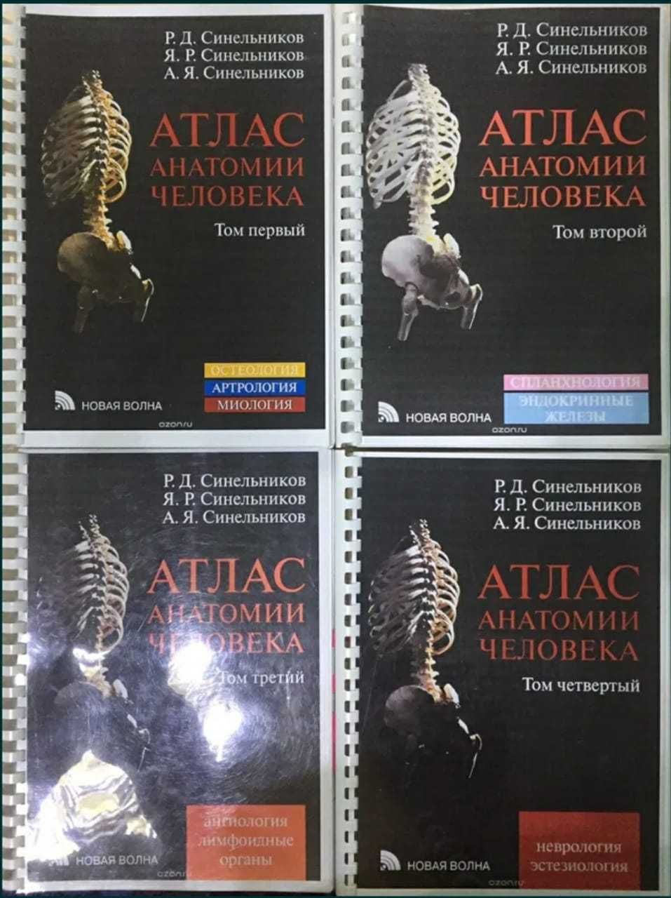 Анатомия атлас Автор Синельников: 4 500 тг. - Книги / журналы Алматы на Olx