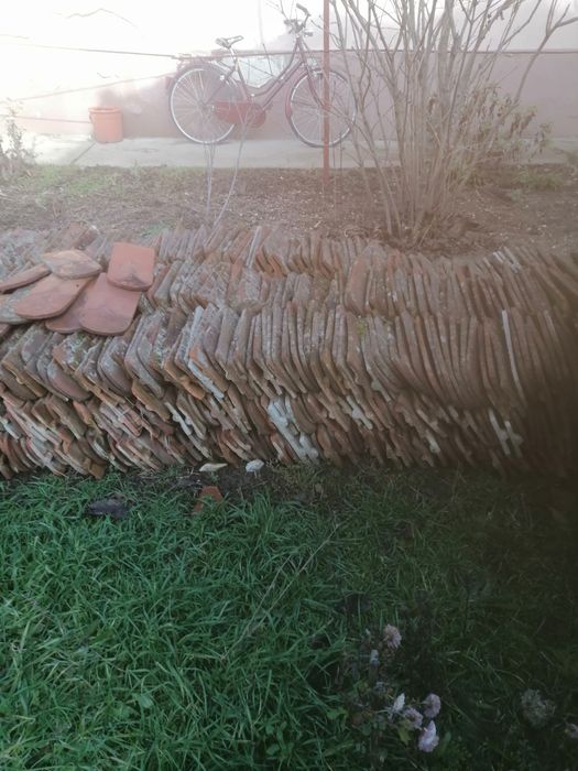 Vand tigla veche solzi Arad • OLX.ro