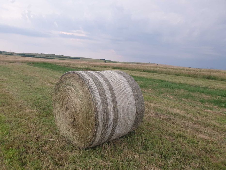 Lucerna, sorg, amestec leguminoase cu graminee baloti Bethausen • OLX.ro