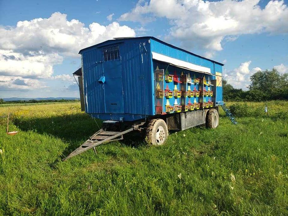 Pavilion apicol ,pat cald . lazi incluse Recea • OLX.ro