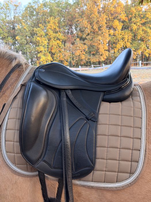 Sa echitatie, calarie, cai , Connect 17,5 Targoviste • OLX.ro