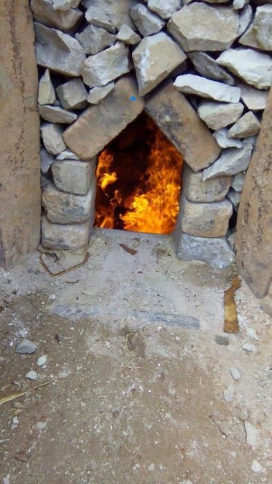 Var pasta si bulgar Aiud • OLX.ro