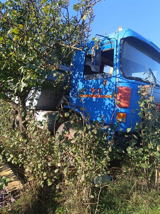 Raba tip Irak de vanzare Reviga • OLX.ro