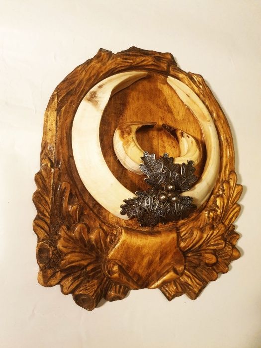 Trofeu cu colti de mistret pe panoplie sculptata ( coarne, lopatar ...