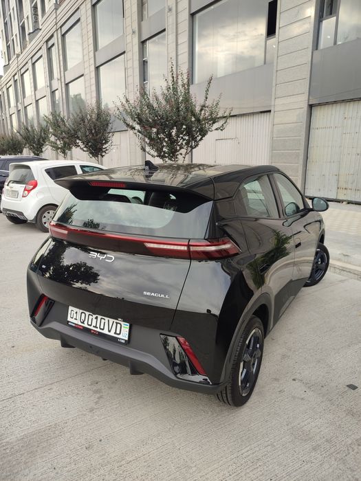 BYD Seagull 2024: 15 300 у.е. - BYD Ташкент на Olx