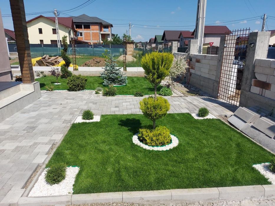 Gazon rulou se diferite tipuri/însămânțare Mangalia • OLX.ro