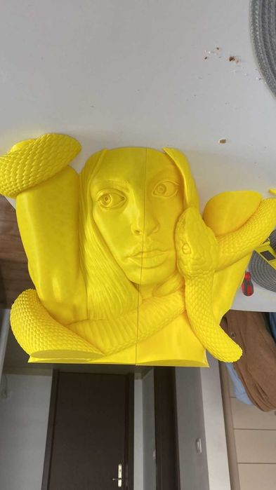 Printare 3D/3d Printing la comanda FDM sau Rasina Iasi • OLX.ro