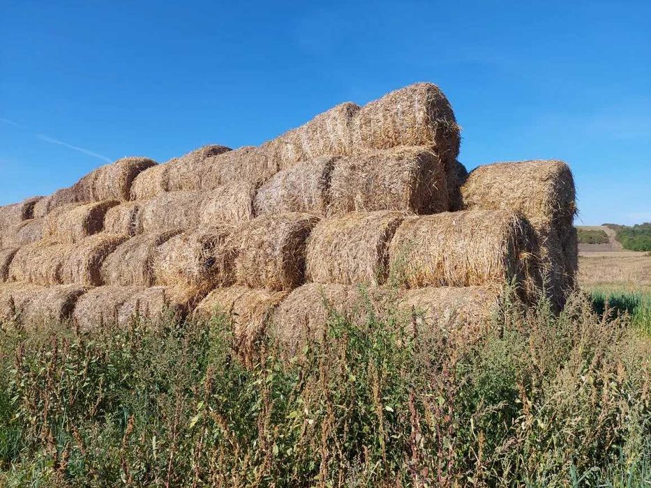 Baloti Fan Paie Otava Lucerna Baloti Patrati si Rotunzi Sighetu ...