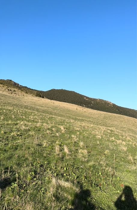 Vand teren la munte Cosna • OLX.ro