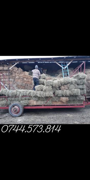 Baloti fan sau Lucernai.Transp.Incl.cate 500 drept.Rotunzi 40 TIR>RO U ...