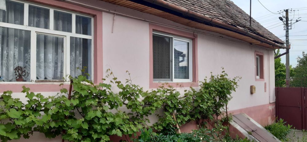 Vand casa sat daia jud.sibiu Sibiu • OLX.ro