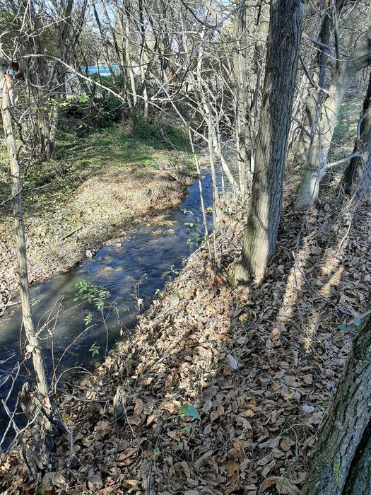 Teren de vanzare in Rasinari Rasinari • OLX.ro