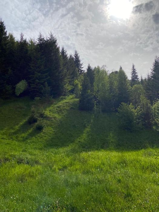 Teren Rucar Bran Valea Cheii Rucar • OLX.ro