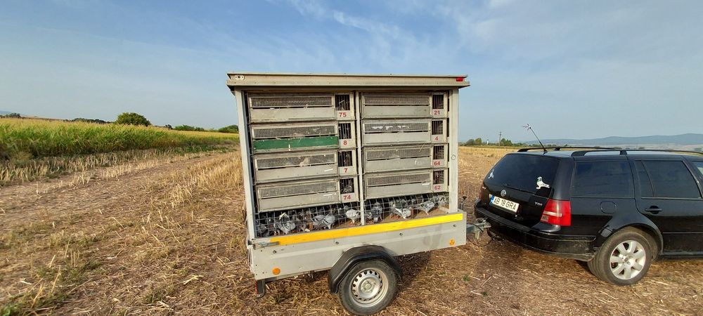 Vând remorca+container transport porumbei Cugir • OLX.ro