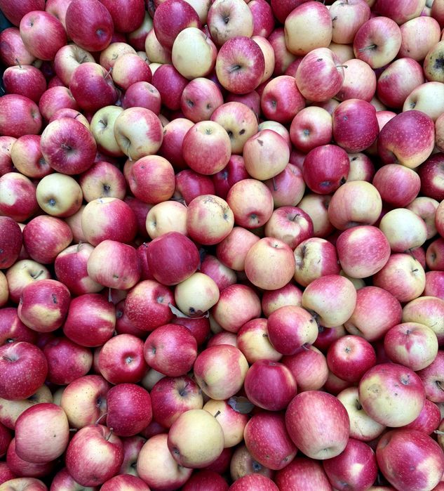 Vindem mere en-gross din productia proprie! Barlad • OLX.ro