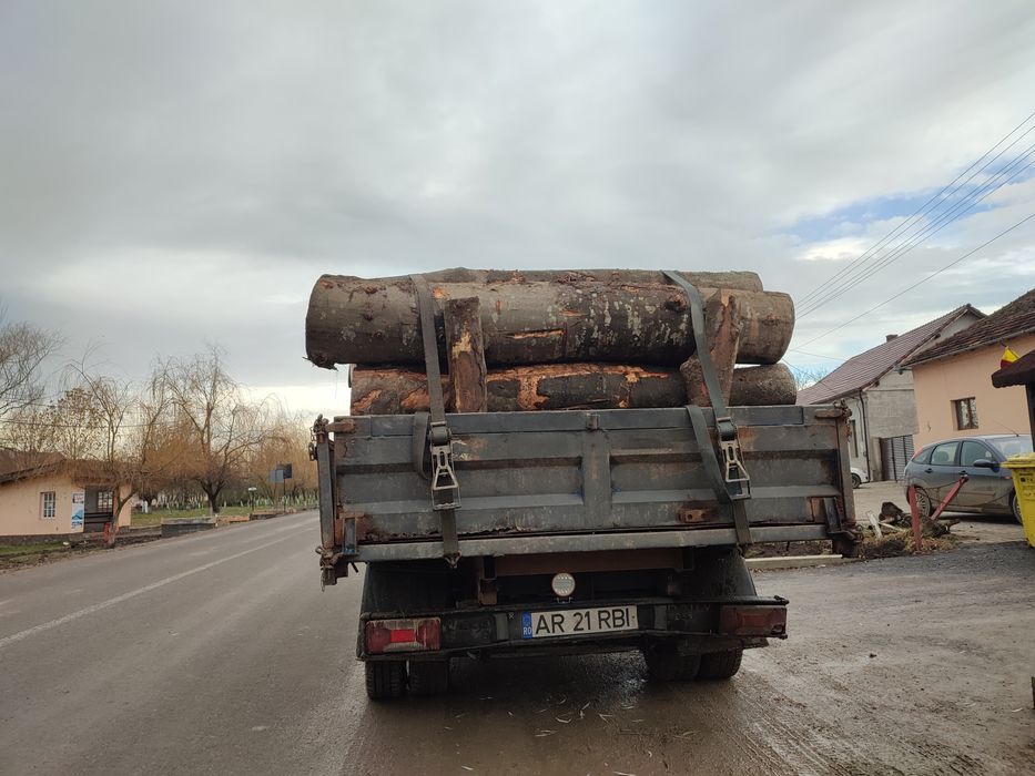 Lemne de foc esență tare Arad • OLX.ro