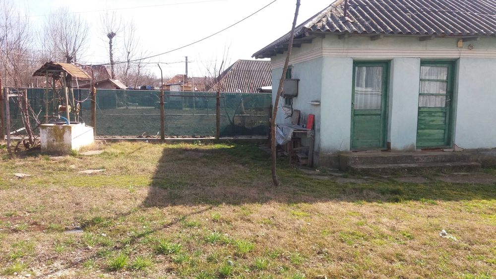 Anunturi Gratuite - Peste 4 milioane anunturi - OLX.ro