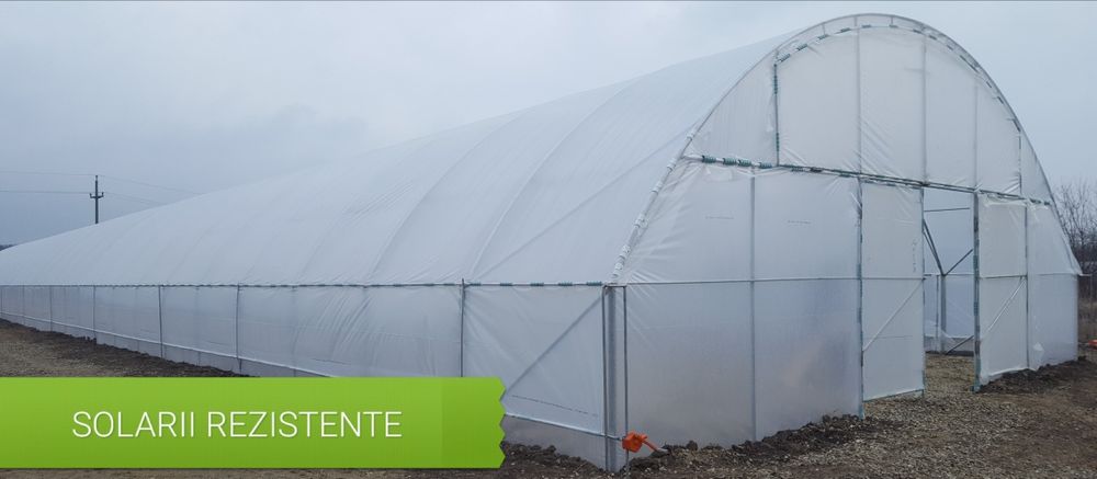 Solarii Rezistente Baleni-Sarbi • OLX.ro