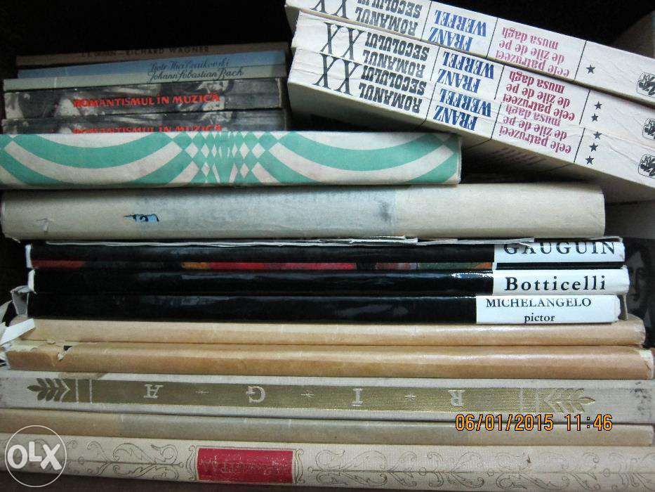 Raft carti arta artisti romani si straini clasici si moderni Bucuresti ...