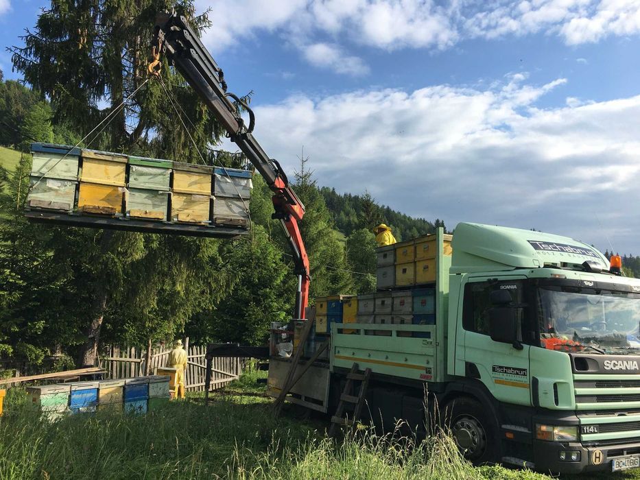 Camion SCANIA P114 LB 4X2 340/114L, cu macara Palfinger si remorca ...