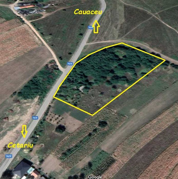 Teren intravilan 7176 mp, in Cetariu, zona in continua dezvoltare ...