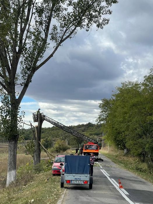 Toaletari și tăieri arbori / copaci periculoși cu Nacela 35m Craiova ...